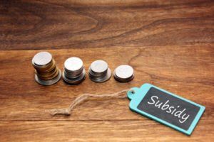 Everything You Need to Know About Subsidized Loans